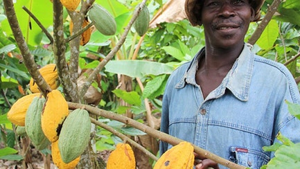 More than just a wrapper